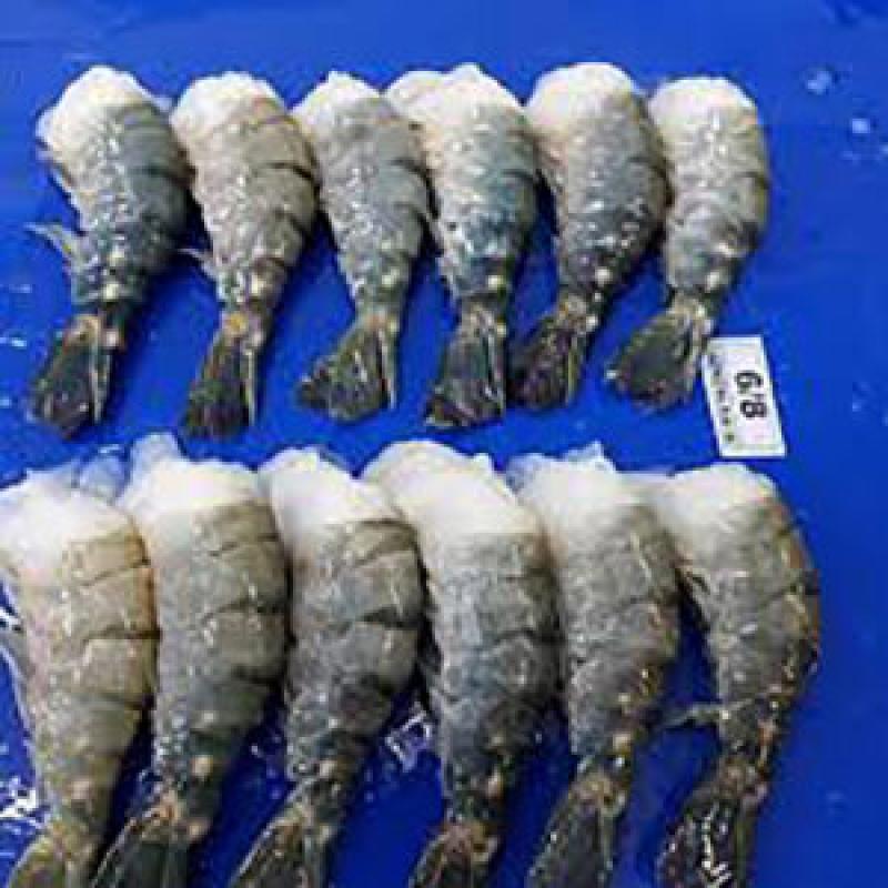 Savor the sweet, succulent taste of our premium wild-caught prawns ...